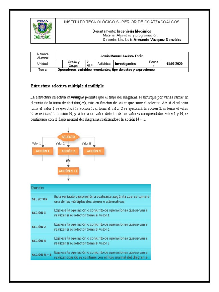 Estructura Selectiva Múltiple Si Múltiple | PDF