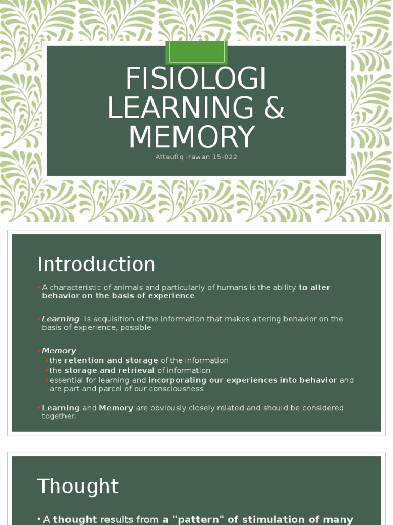Fisiologi Learning & Memory | PDF | Long Term Potentiation | Hippocampus
