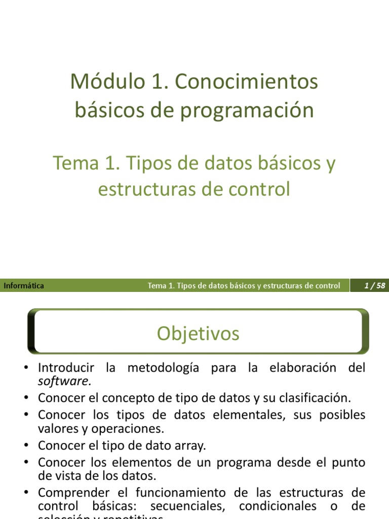 Tema 1. Tipos de Datos Basicos y Estructuras de Control | PDF | Estructura de datos de matriz ...