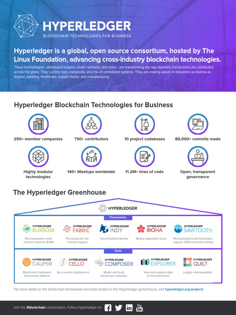 Blockchain Technologies for Business: Hyperledger Overview | PDF ...