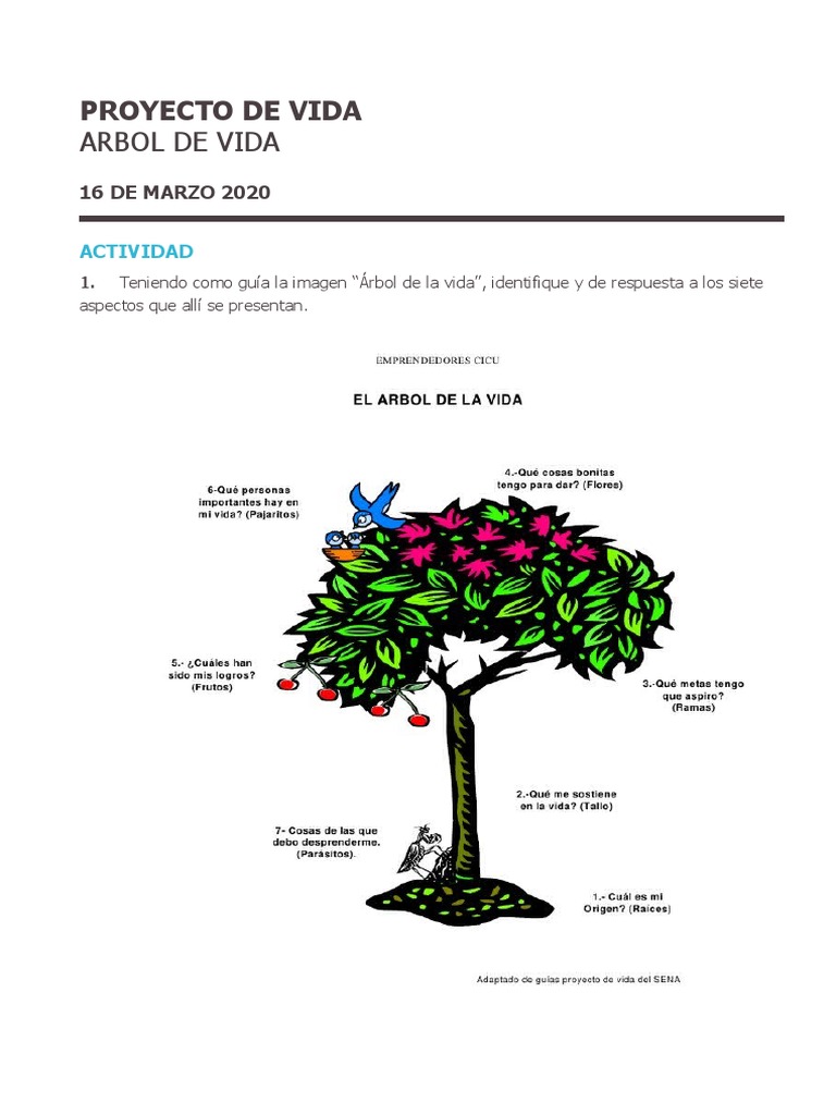 Taller - Actividad Arbol de La Vida | PDF