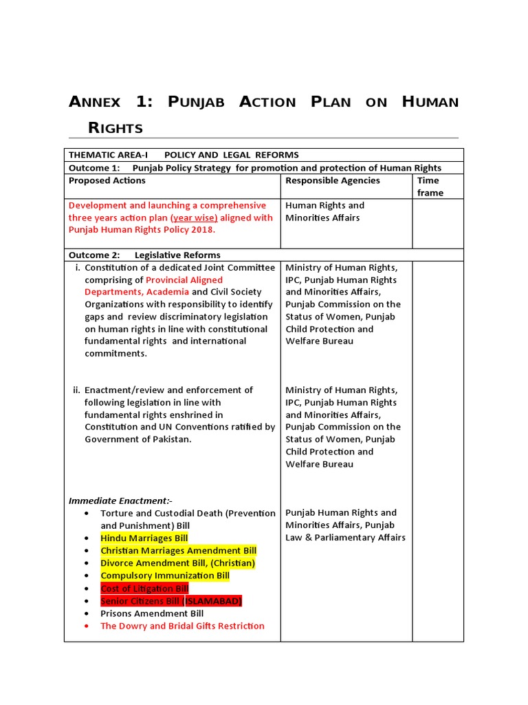 Punjab Action Plan On Human Rights 2 | PDF | Human Rights | Prison