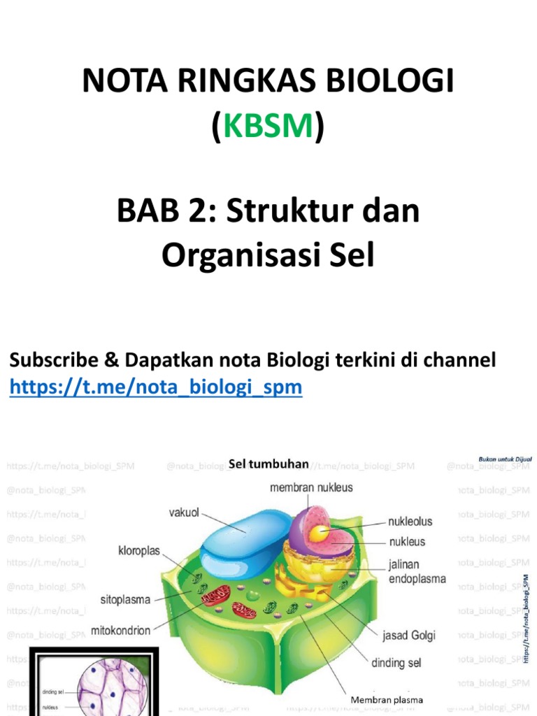 Nota Ringkas Biologi KBSM Bab 2 | PDF