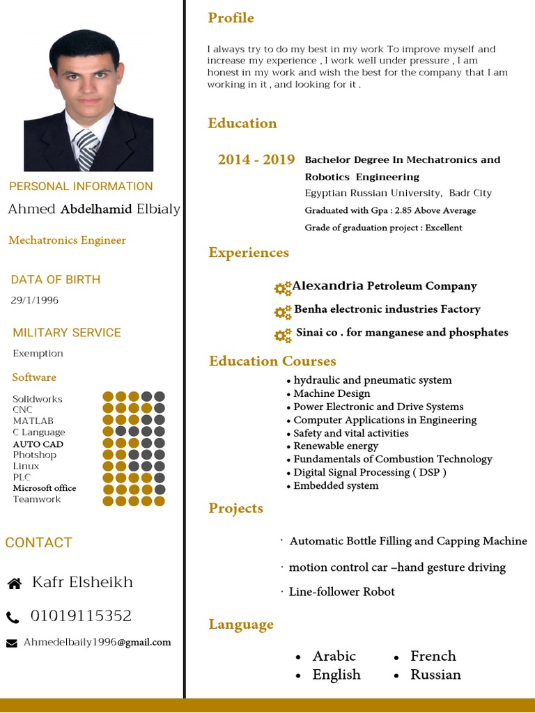 Mechatronics Engineer Resume Overview | PDF | Engineering | Computing