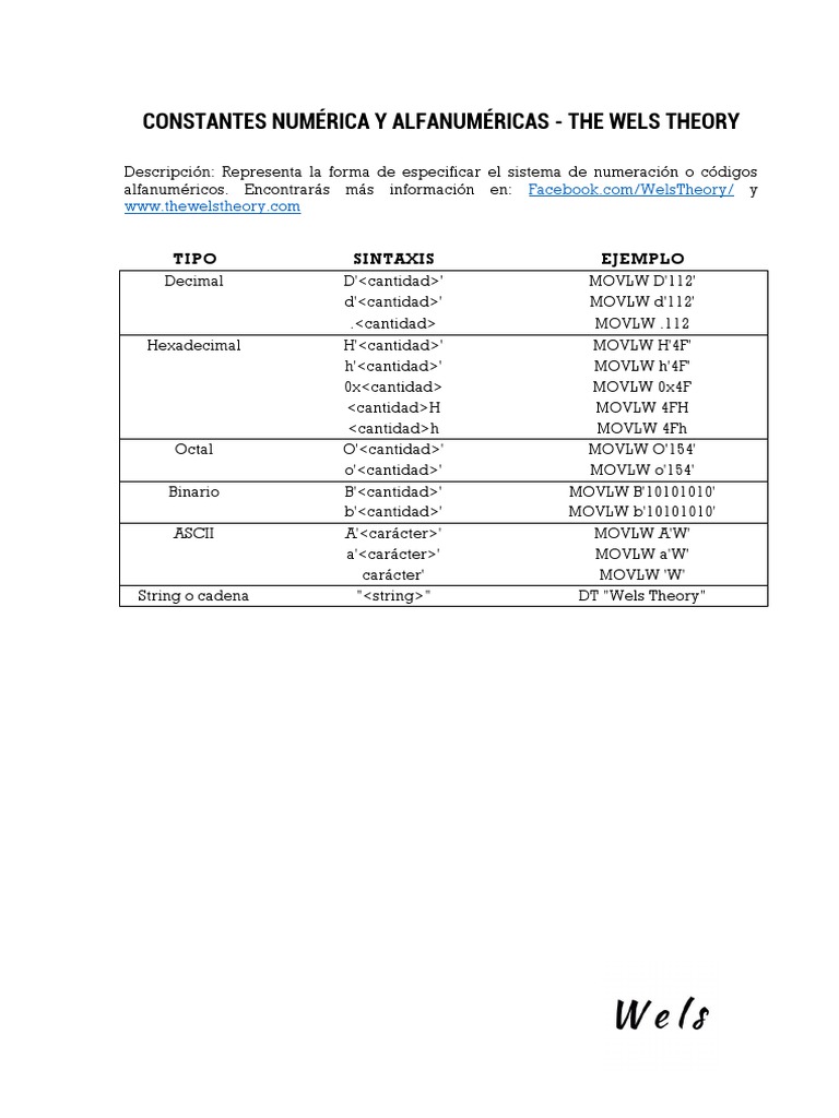 Constantes Numéricas y Alfanuméricas | PDF