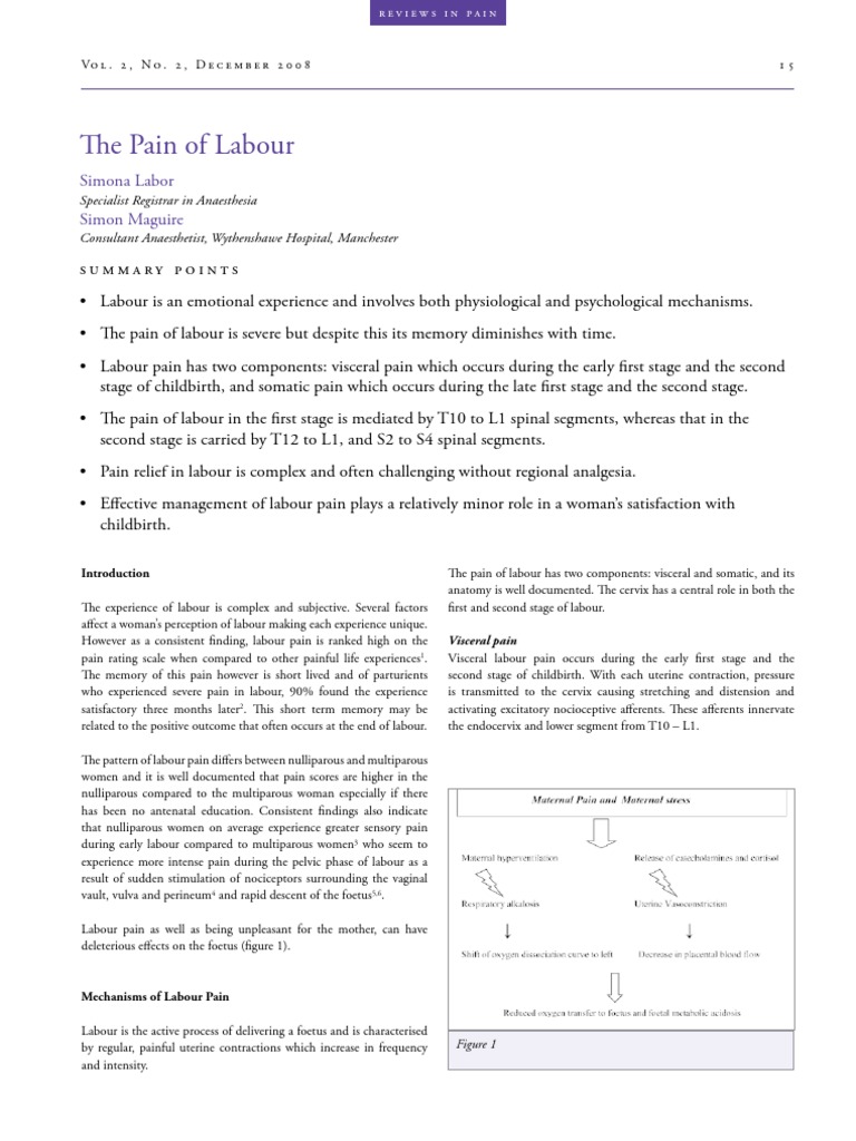 The Pain of Labour: Understanding Visceral and Somatic Components | PDF ...