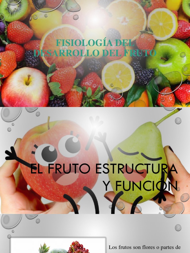 Fisiología del Desarrollo del Fruto | PDF | Fruta | Plantas