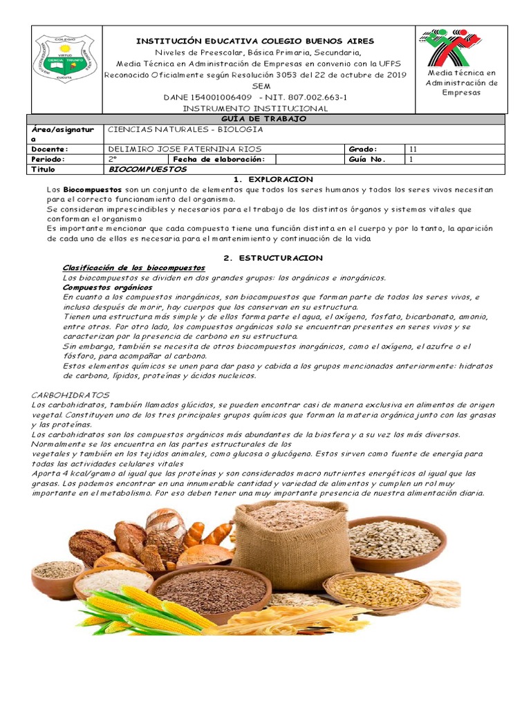 Guia #1 Biocompuestos 11 Biologia 2 Periodo 2020 | PDF | gordo ...