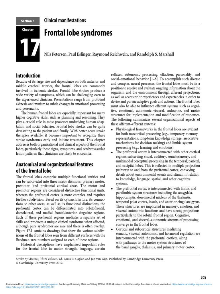 Frontal Lobe Syndromes | PDF | Frontal Lobe | Cerebral Cortex