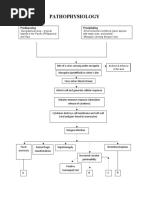 Cellulitis Pathophysiology | PDF | Inflammation | Medical Specialties