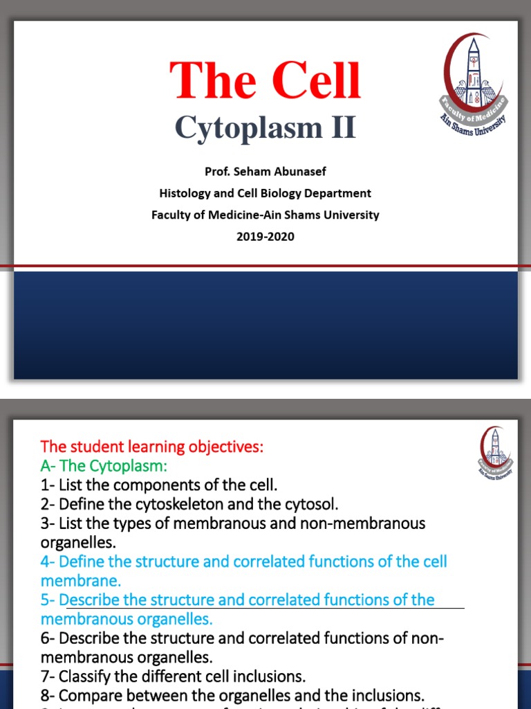 The Cell: Cytoplasm II | PDF | Biological Membrane | Cell Membrane