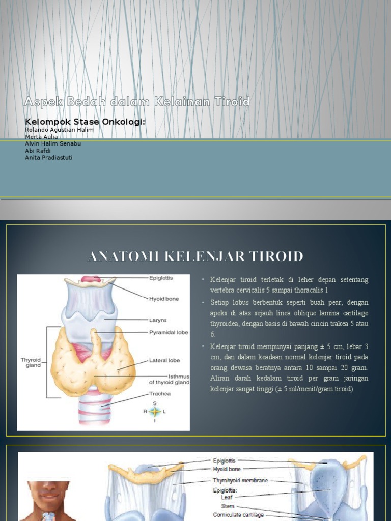 Anatomi Fisiologi Kelenjar Tiroid | PDF