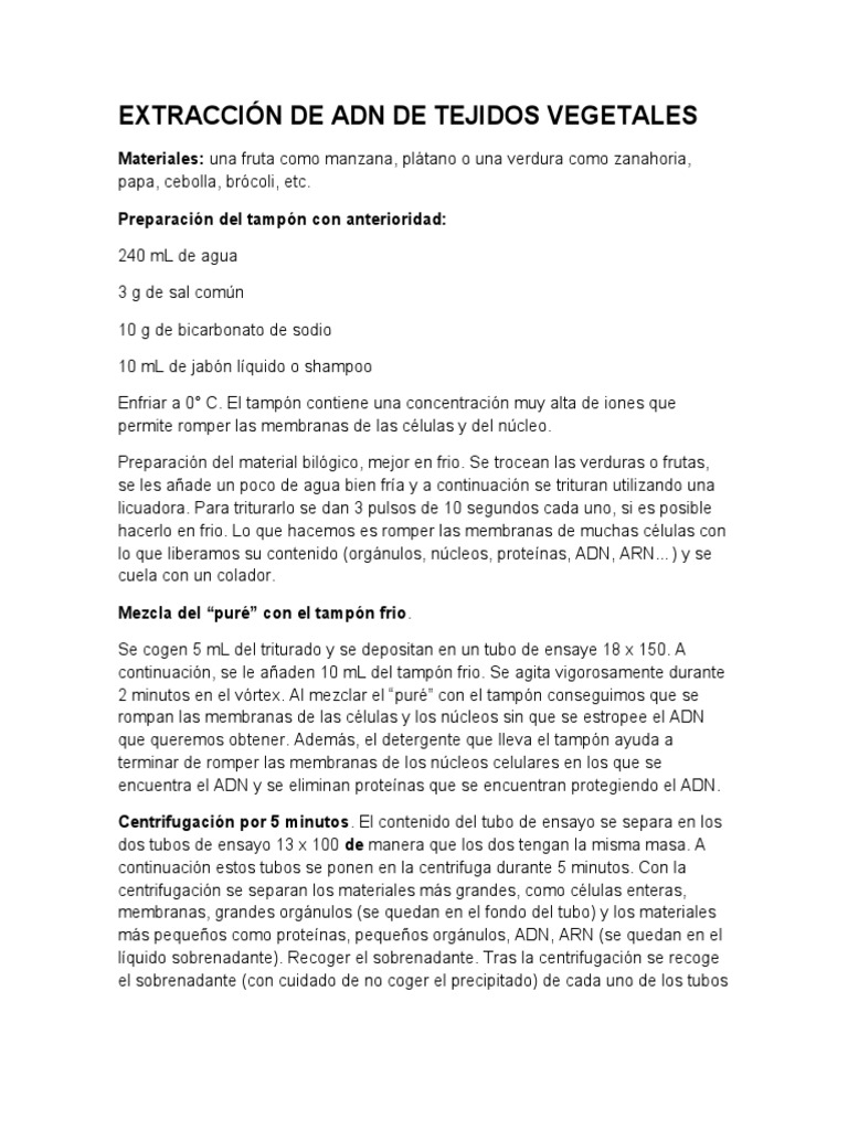 Practica Extracción de ADN | PDF | Adn | Nucleo celular