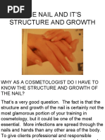 Nail Anatomy and Functions Worksheet | PDF | Nail (Anatomy ...