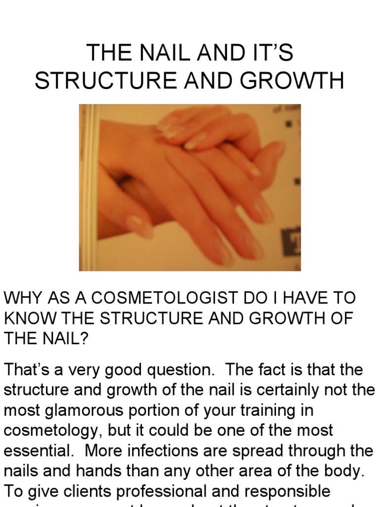 Nail Structure and Growth for Cosmetologists | PDF | Nail (Anatomy) | Skin