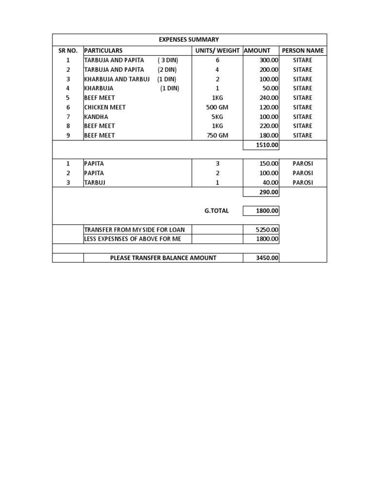 Detailed Expenses Summary Report | PDF