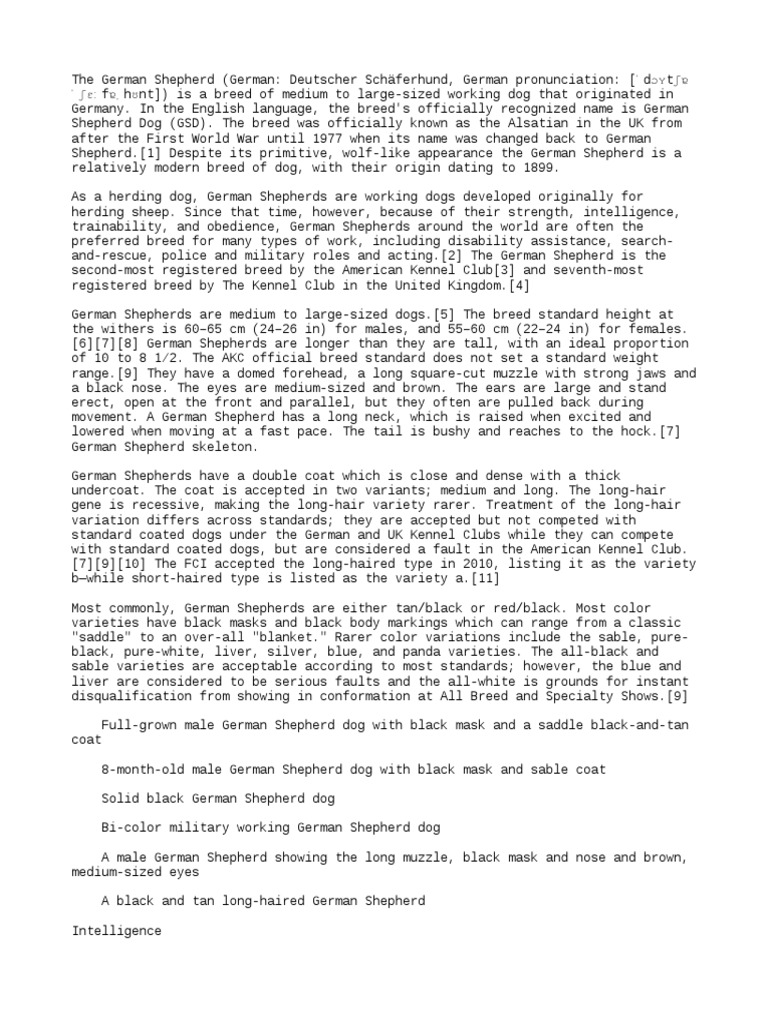 German SHepard | PDF | German Shepherd | Breeds