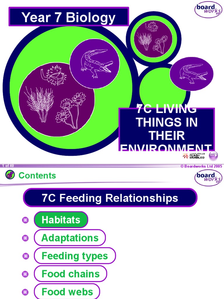 Living Things in Their Environment | PDF | Herbivore | Predation