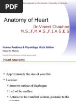 Cardiac Assessment Format | PDF | Pulse | Heart