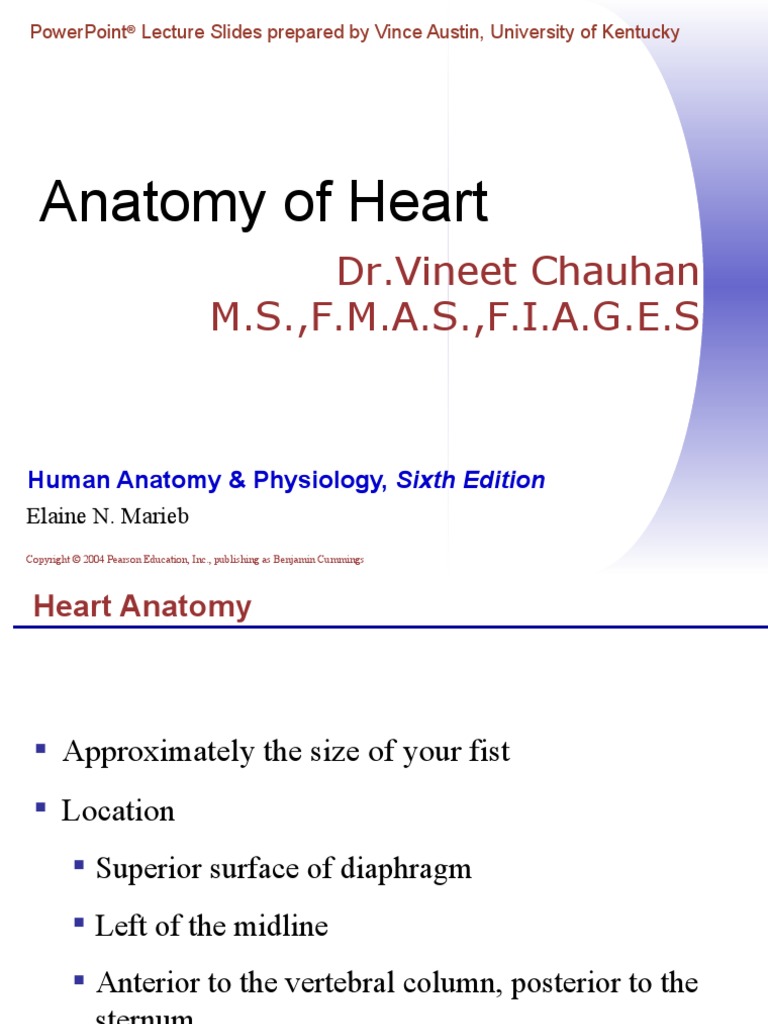 Anatomy Heart and Great Vessels | PDF | Heart Valve | Atrium (Heart)