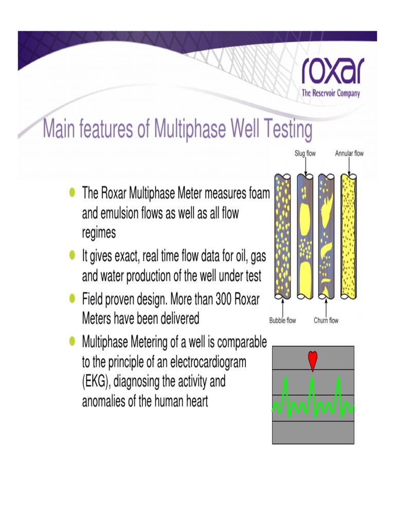 Roxar MultiPhase Flow Meter For Well - Testing Presentation | PDF ...