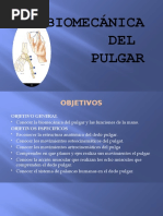 SPANISH Quick DASH | PDF