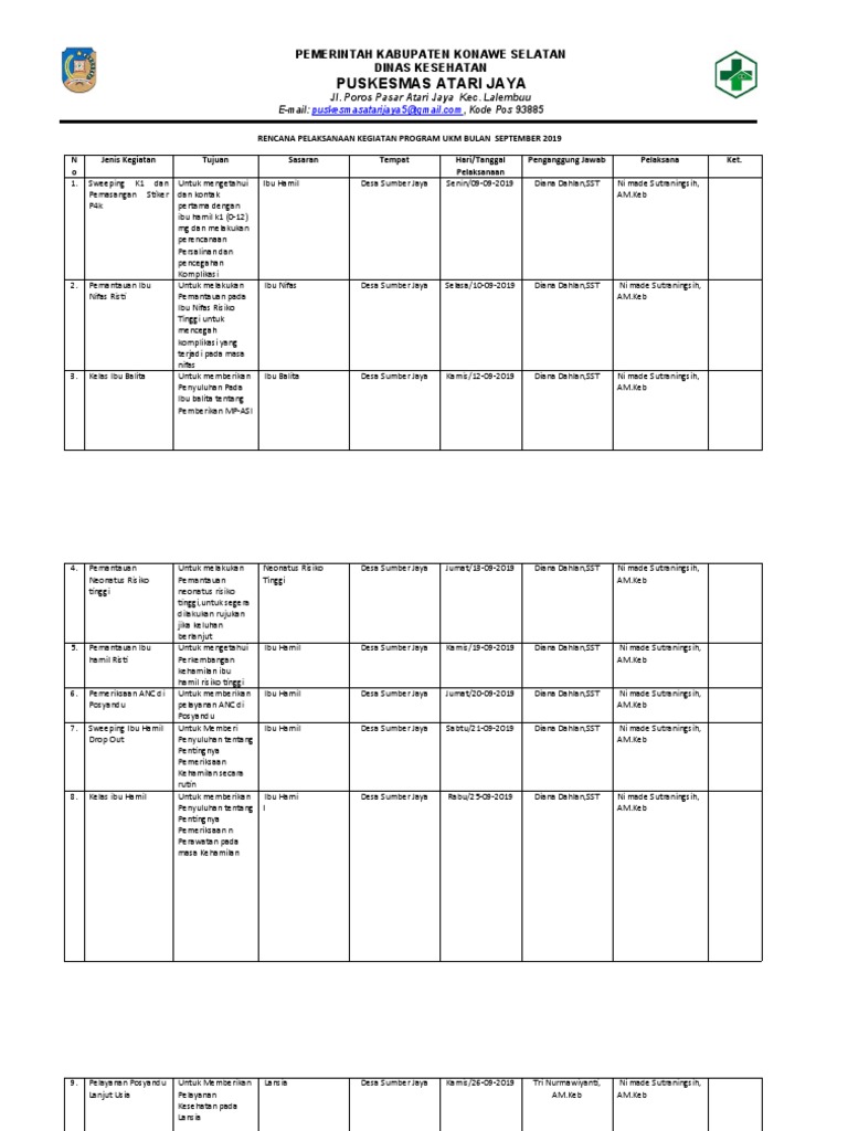 Format RPK Bulanan UKM 2019 | PDF