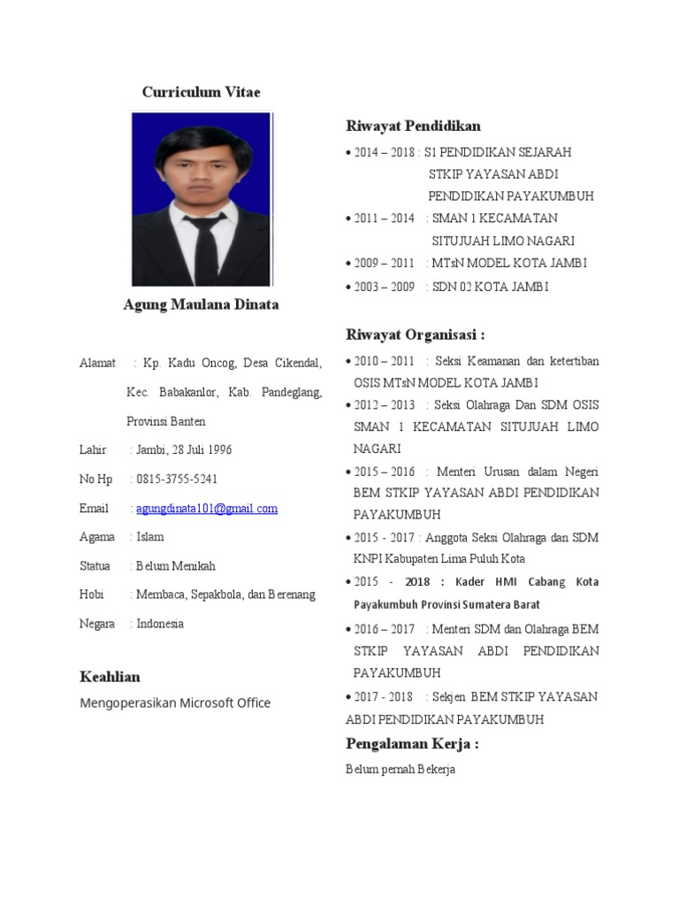 Curriculum Vitae AGUNG | PDF