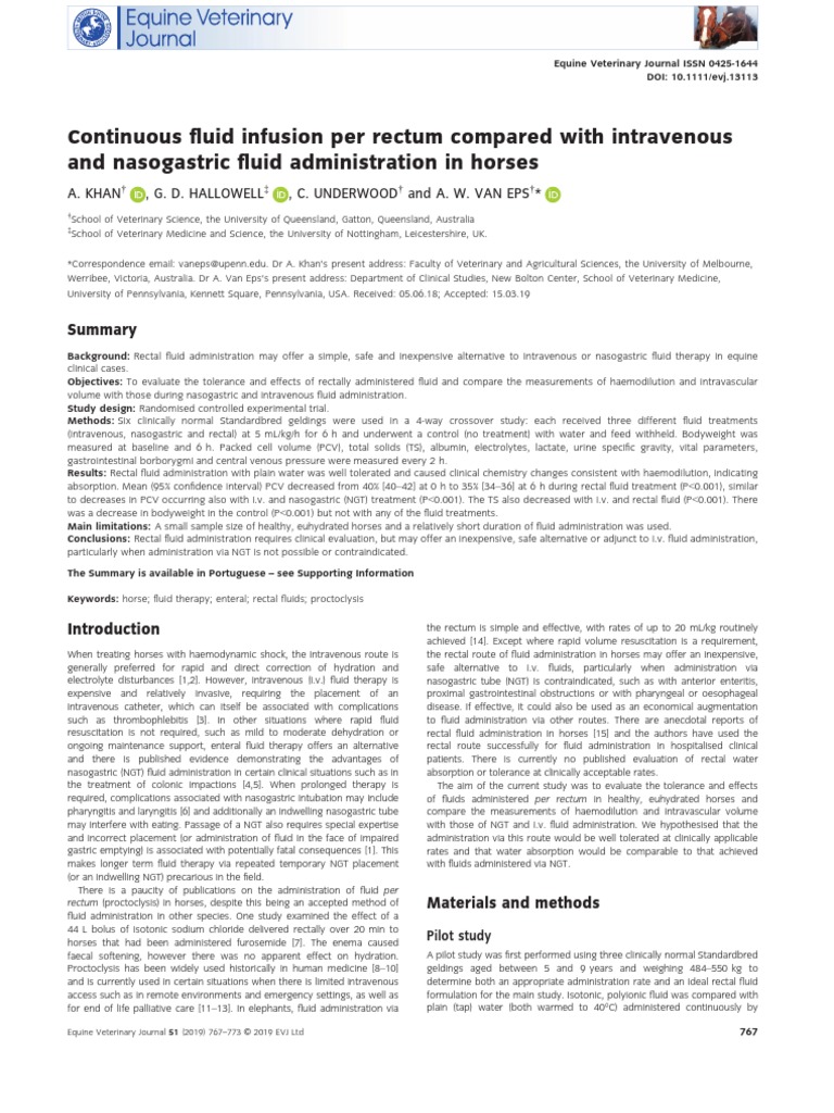 Rectal Fluidtherapy | PDF | Rectum | Intravenous Therapy