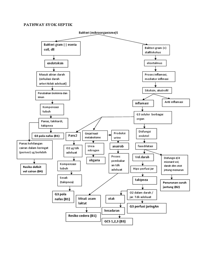 Pathway Syok Septik | PDF