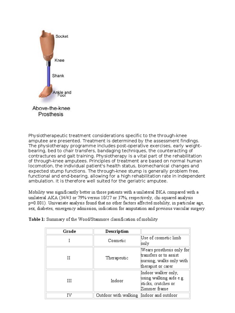 Above Knee Amputation | Anatomical Terms Of Motion | Amputation