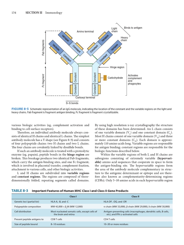 Atlas - Microbiology - Medical Microbiology - 26 TH Edit 147 PDF | PDF ...