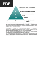 Pirámide de Bird: Control de Riesgos Laborales | PDF | Teoría | Salud y ...