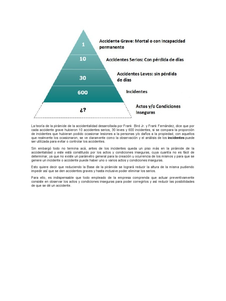 Piramide de Bird | PDF | Science | Ciencia y Tecnología