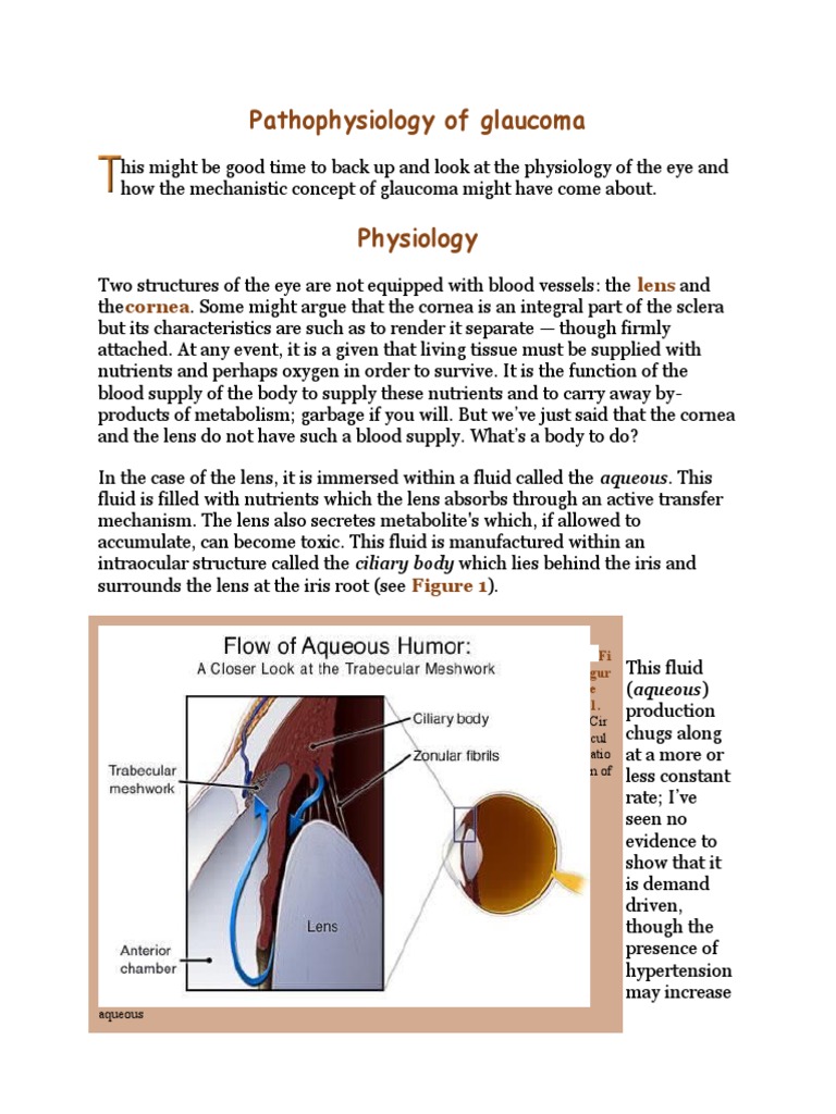Understanding Glaucoma Pathophysiology | PDF | Eye | Retina