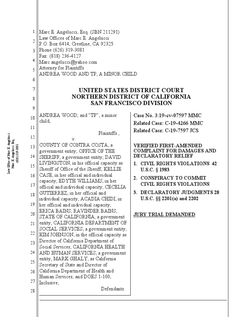 FIRST AMENDED COMPLAINT Rev1 PDF | PDF | Fourteenth Amendment To The ...
