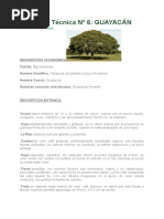 Ficha de Vegetacion | PDF | Arboles | Hoja