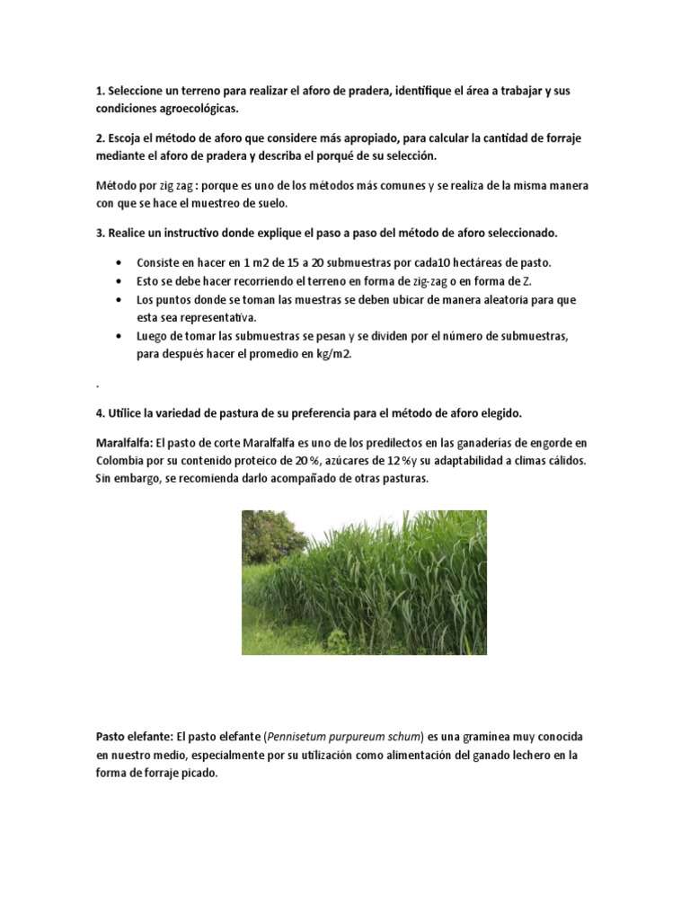 Evidencia Instructivo Determinar La Cantidad de Forraje | PDF