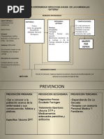 Funcionamiento del SINAVE en México | PDF | Epidemiología ...