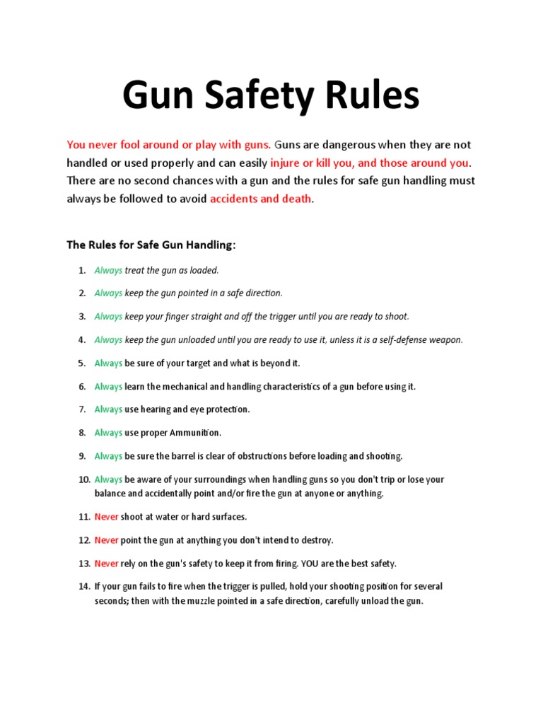 Gun Safety Rules: You Never Fool Around or Play With Guns. Injure or ...