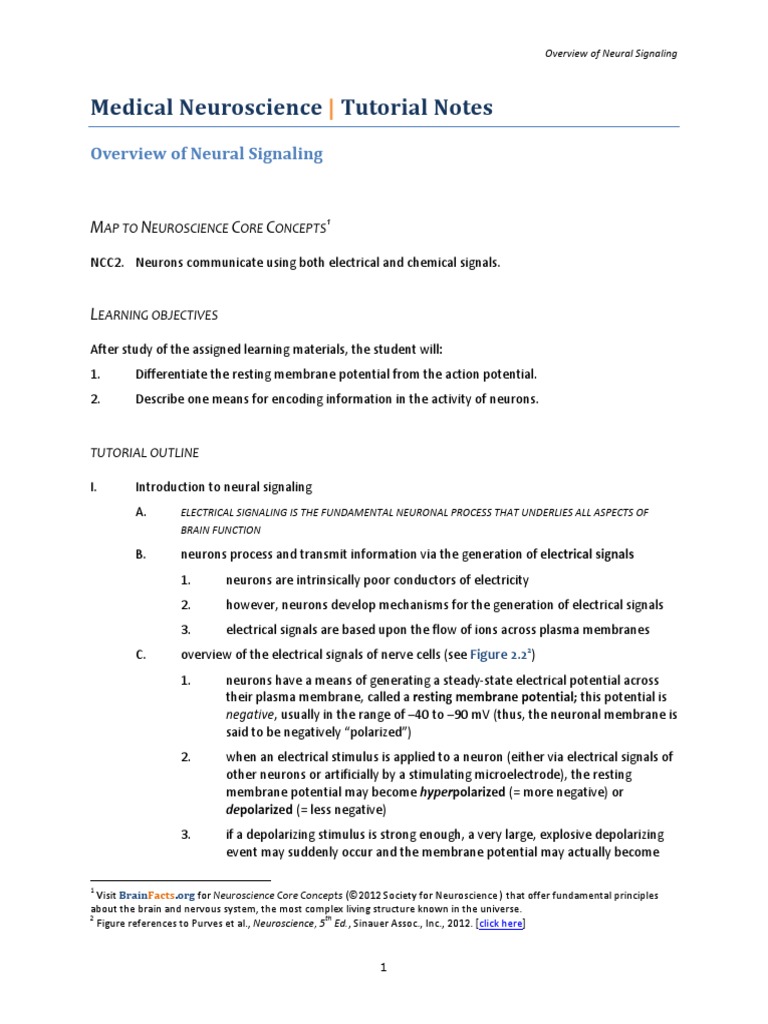Medical Neuroscience Tutorial Notes: Overview of Neural Signaling | PDF ...