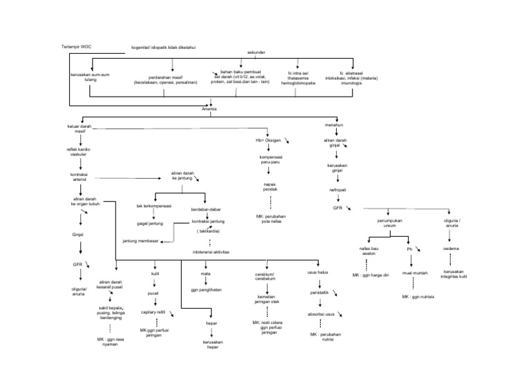 WOC - ANEMIA Anak B | PDF