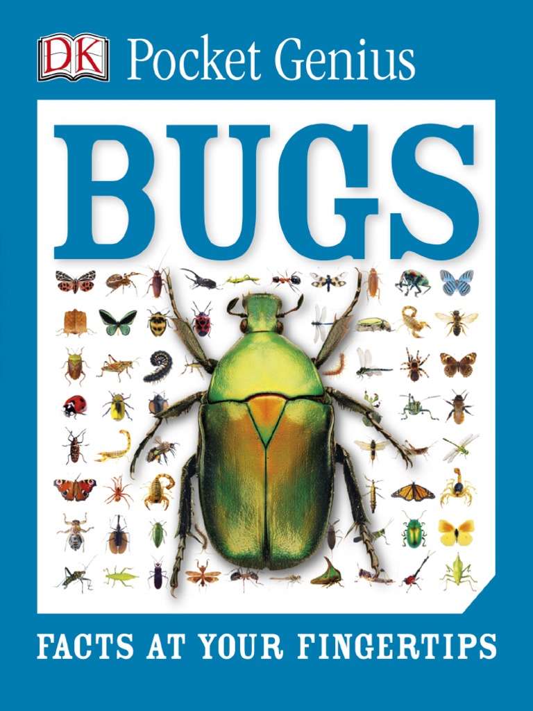 DK Bugs. | PDF | Insects | Fly