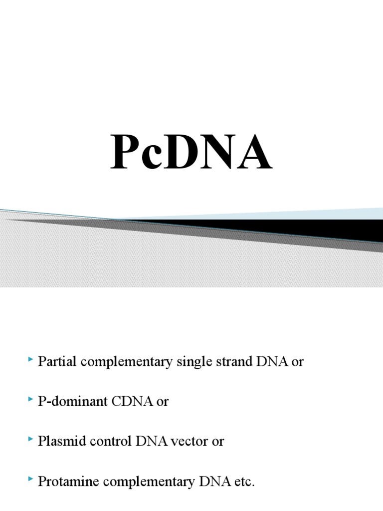PC DNA | PDF