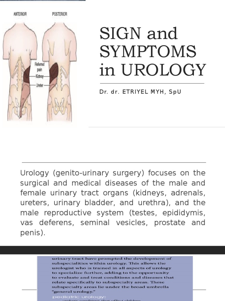 Sign and Symptoms in Urology 1 | PDF | Urology | Kidney
