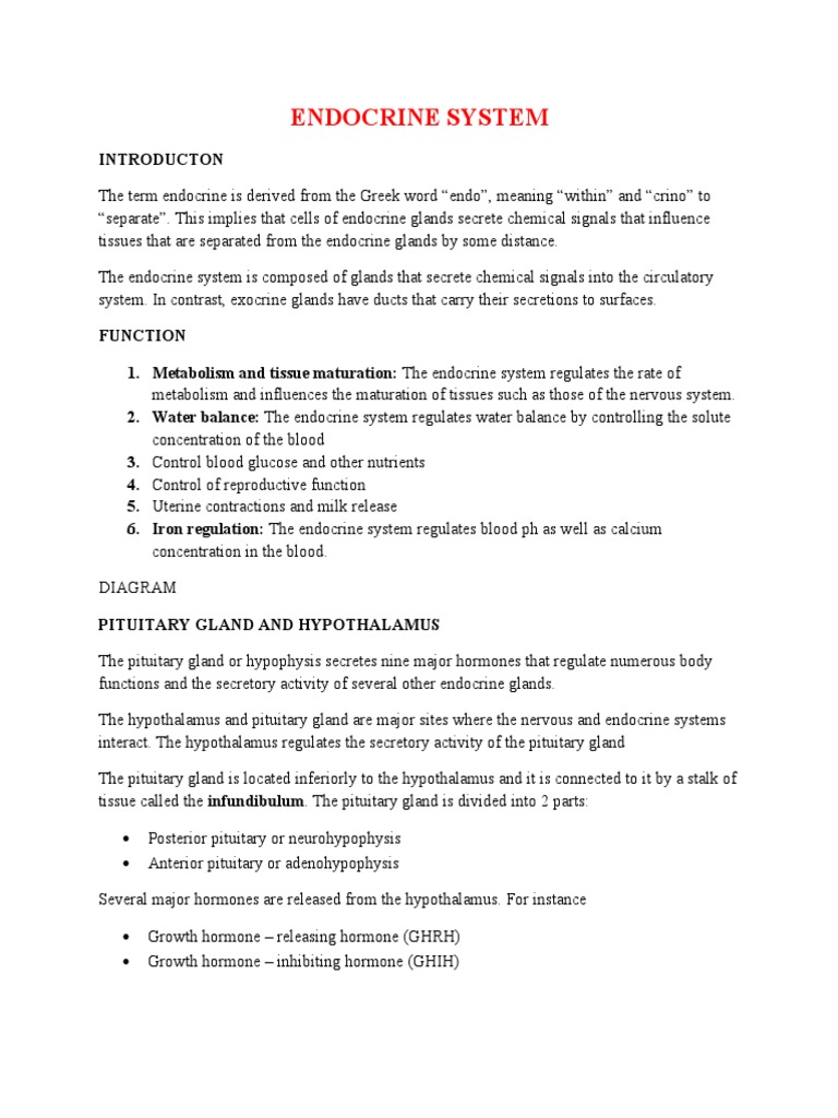 Endocrine System | PDF | Endocrine System | Adrenal Gland