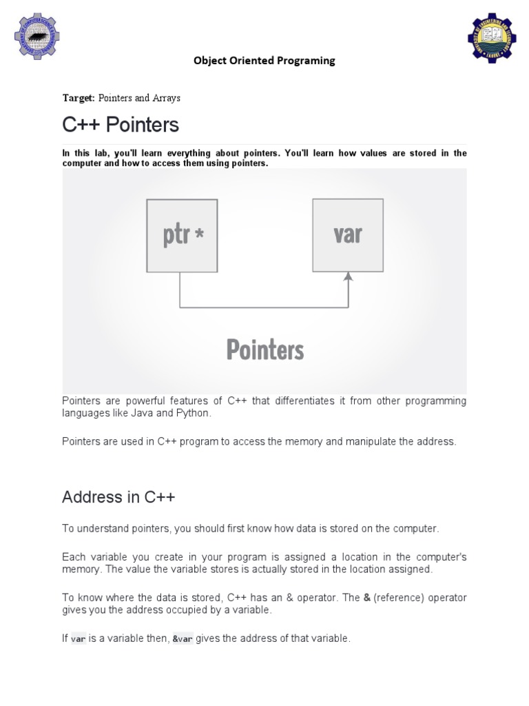 Oop Lab 2 Pdf Pdf Pointer Computer Programming Variable Computer Science