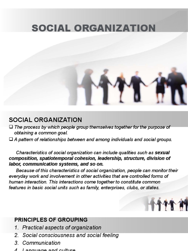 Social Organization | PDF | Kinship | Family