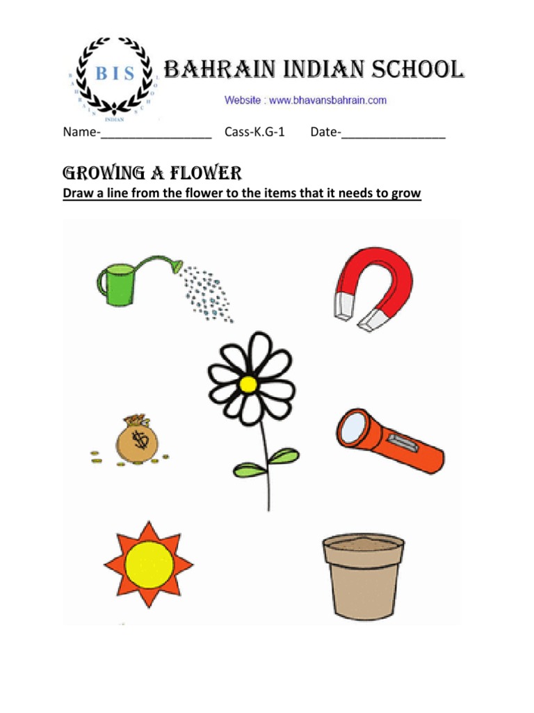 Growing A Flower PDF | PDF