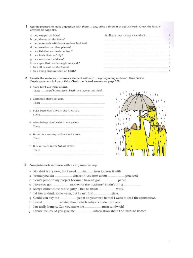 Some Any Exercises | PDF | Travel | Young Adult